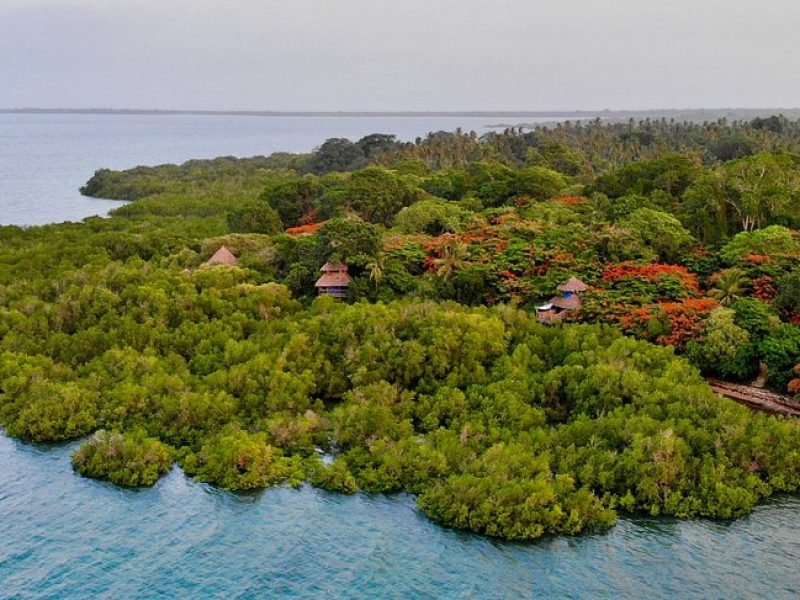 Chole Mini Tree House Lodge | Tanzaniatrail
